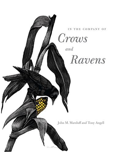 The Best Books about Crows 2026 - Top 10 Books about Crows | Buy Now Guide